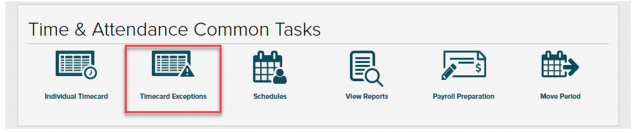 TLM Support - Payroll Processing